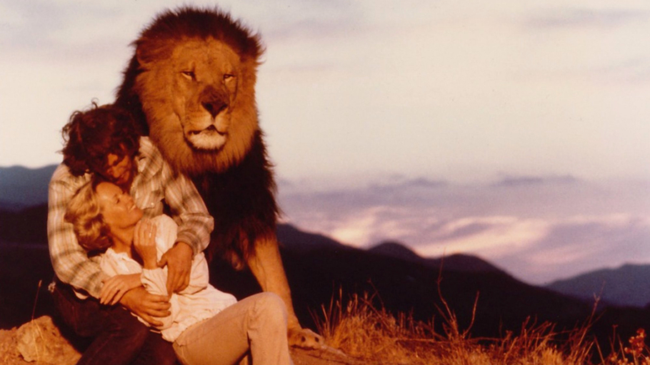 Roar (Noel Marshall, 1981) - La Cinémathèque française