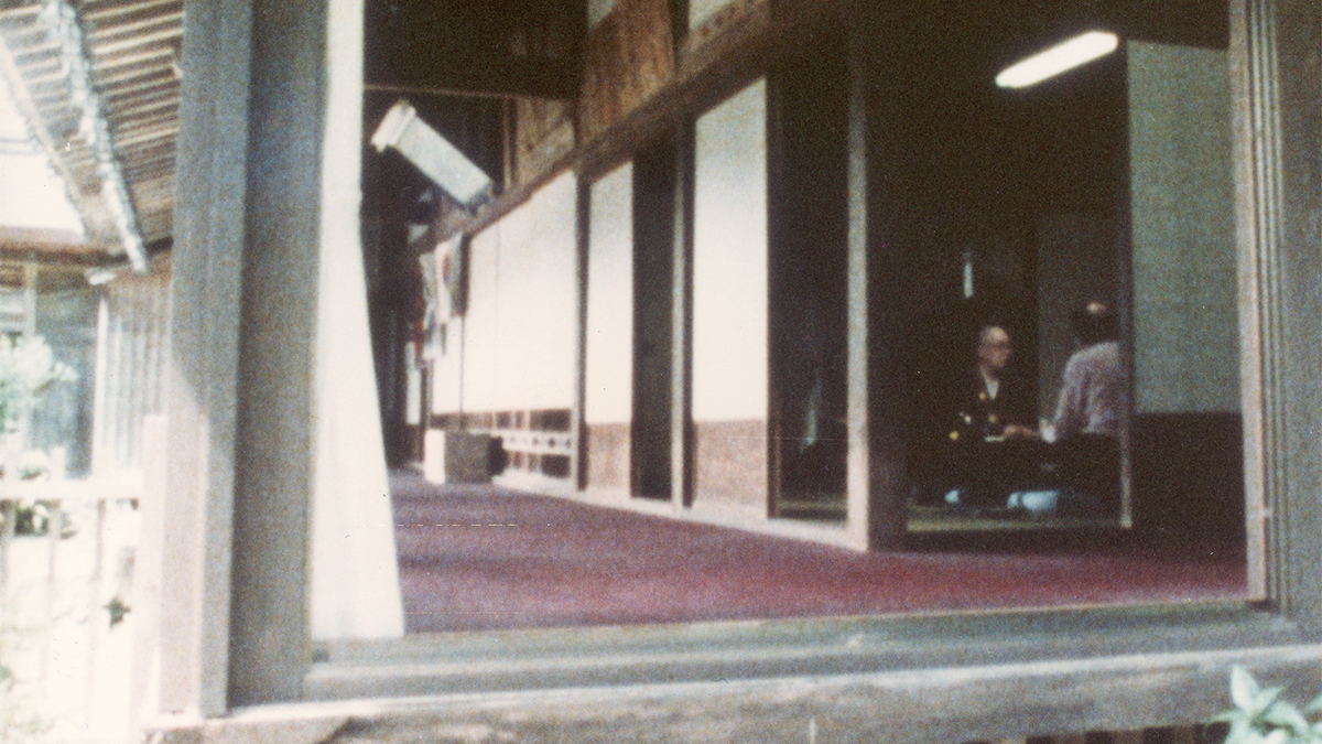 L'Île de Moraes (Paulo Rocha, 1983) - La Cinémathèque française