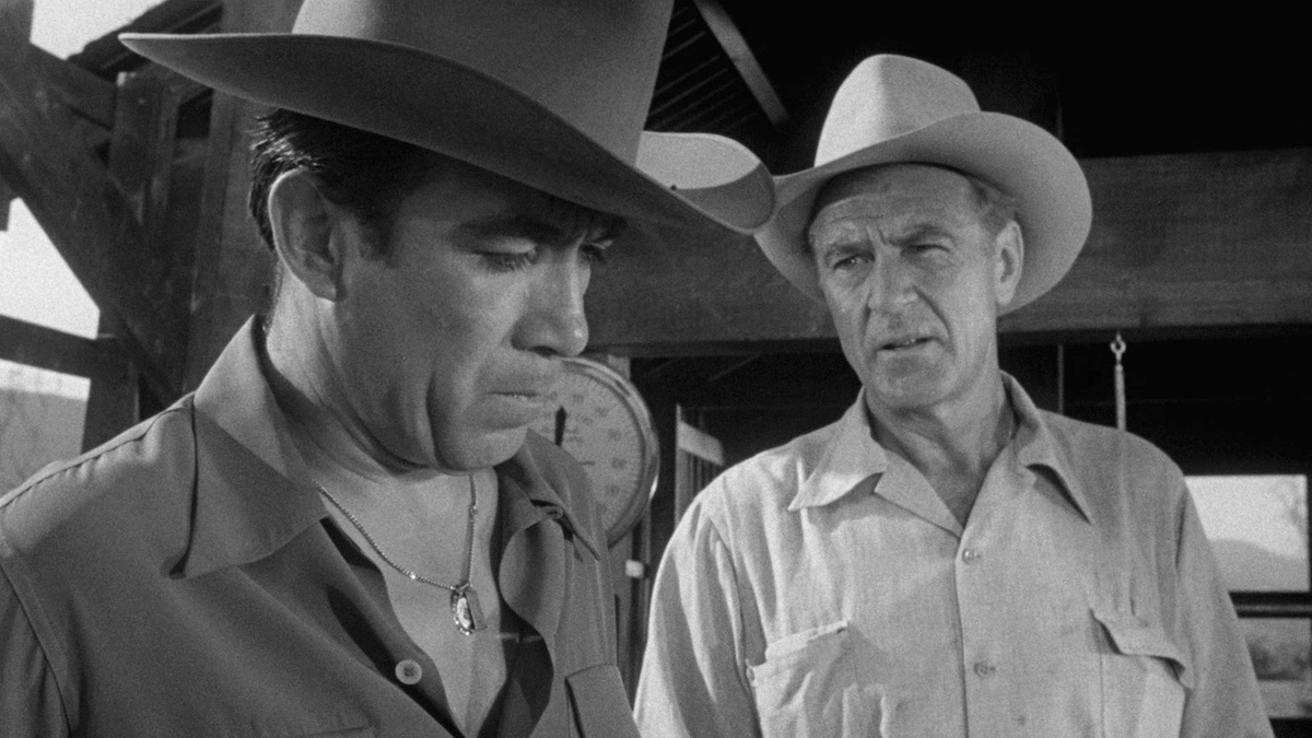 Le Souffle sauvage (Hugo Fregonese, 1953) - La Cinémathèque française