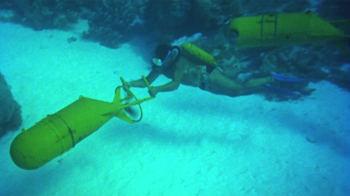 Le Monde du silence (Jacques-Yves Cousteau, Louis Malle, 1955) - La ...