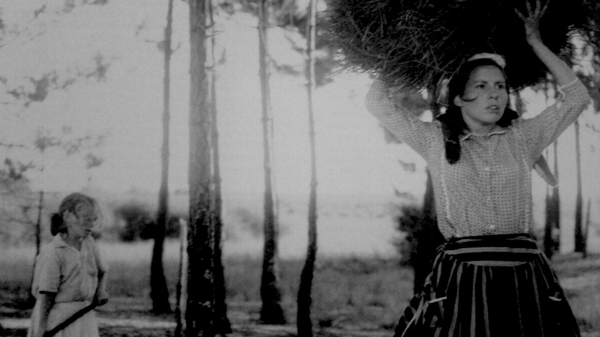 Changer de vie (Paulo Rocha, 1965) - La Cinémathèque française