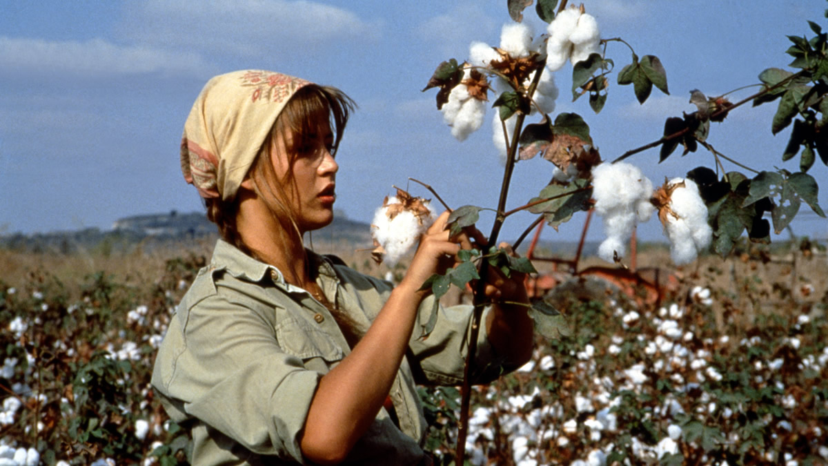 Pour Sacha (Alexandre Arcady, 1991) - La Cinémathèque française
