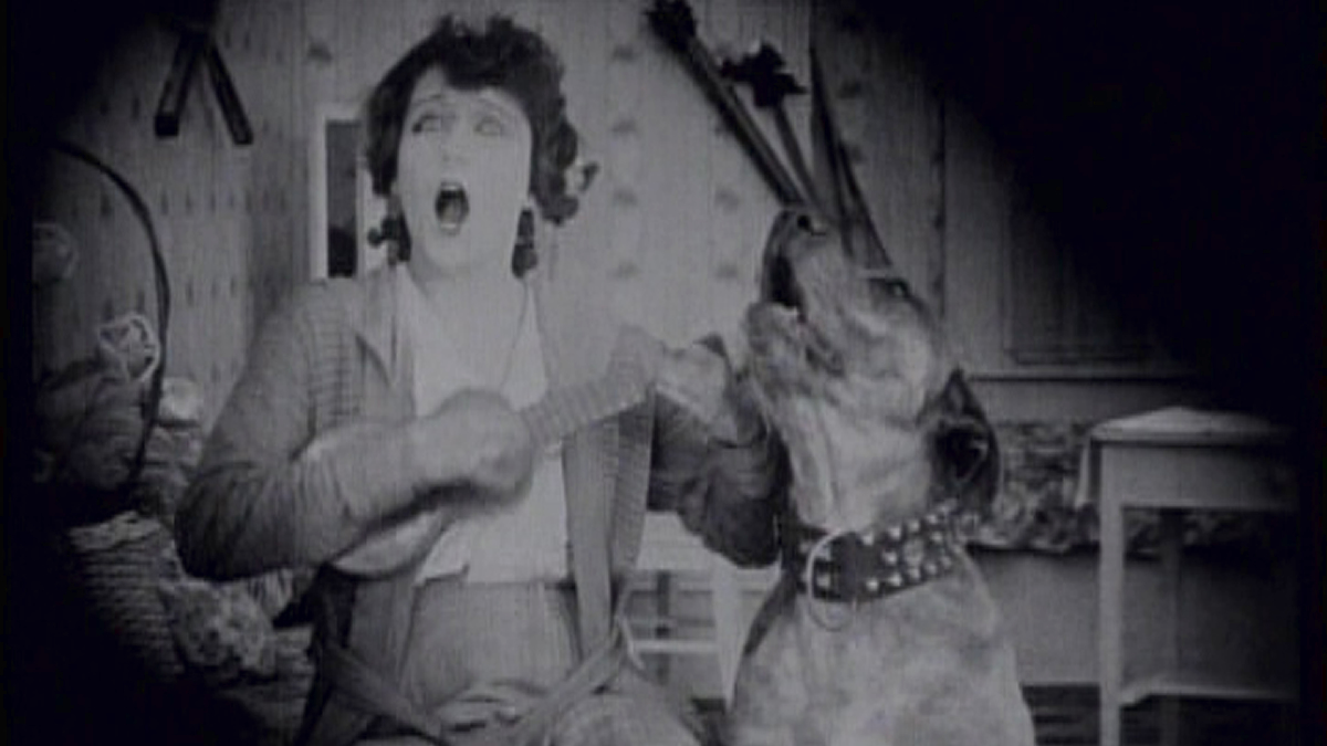 Teddy at the Throttle (Clarence G. Badger, 1917) - La Cinémathèque ...