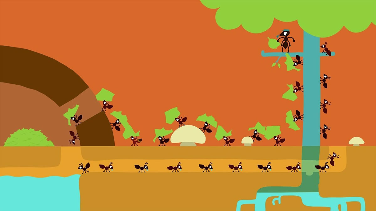 Animanimals : Ant (Julia Ocker, 2017) - La Cinémathèque française