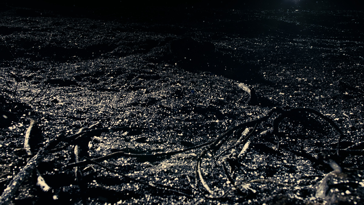 Continuously Habitable Zones aka C.H.Z. (Philippe Parreno, 2011) - La ...