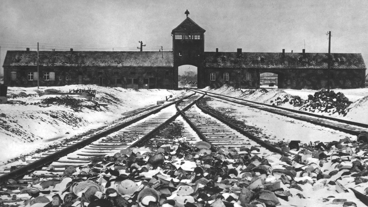 Nuit et brouillard (Alain Resnais, 1955) - La Cinémathèque française