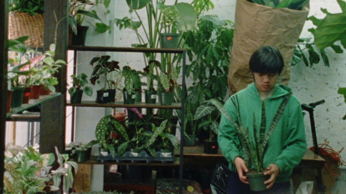 Softshell (Jinho Myung, 2024) - La Cinémathèque française